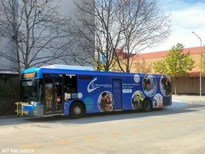 ACT Bus Fleetwiki