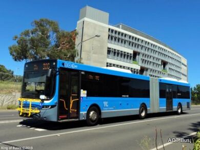 Fleet Summary - ACT Bus Fleetwiki